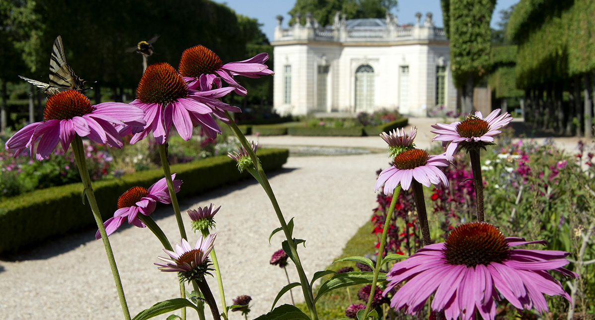 Inspirations rose Pompadour - Les carnets de Versailles